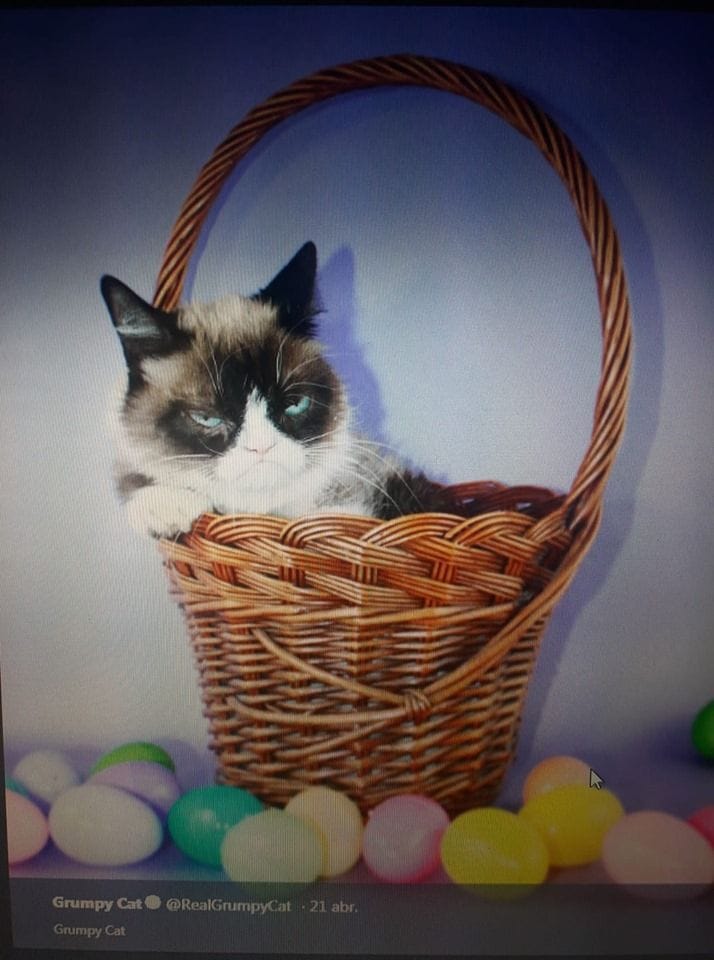 (Algunos días son más gruñones) Grumpy Cat dice adiós